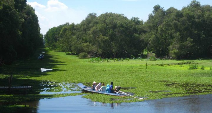 Tra Su Cajuput Forest - Mekong Delta Attractions | Vietnam Travel