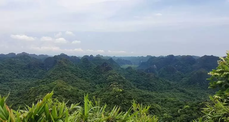 Cat Ba Island: A Complete Travel Guide 2025