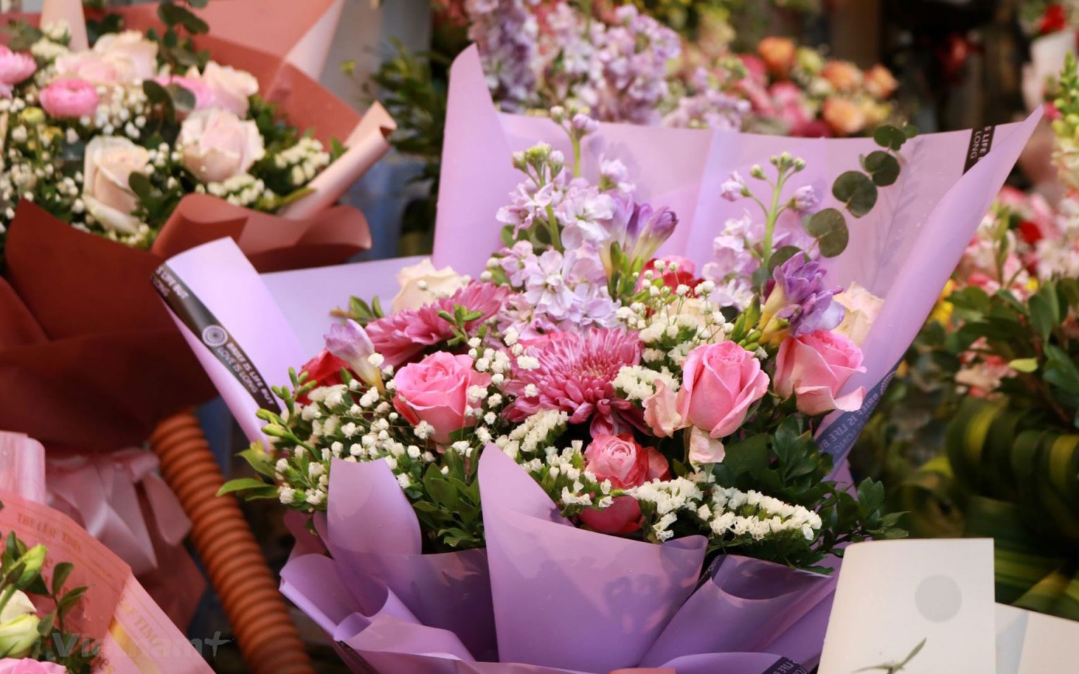 Flowers in Vietnam: 8 Things You want to Know | Vietnam Travel
