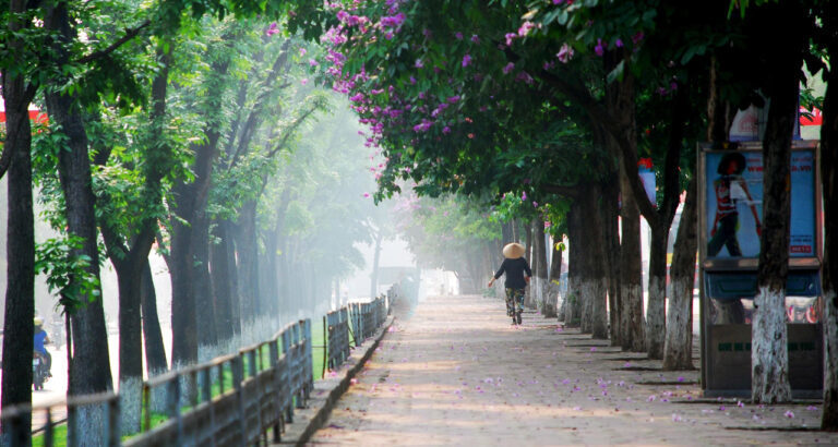 Hanoi Weather - Climate & Seasons in Hanoi, Vietnam