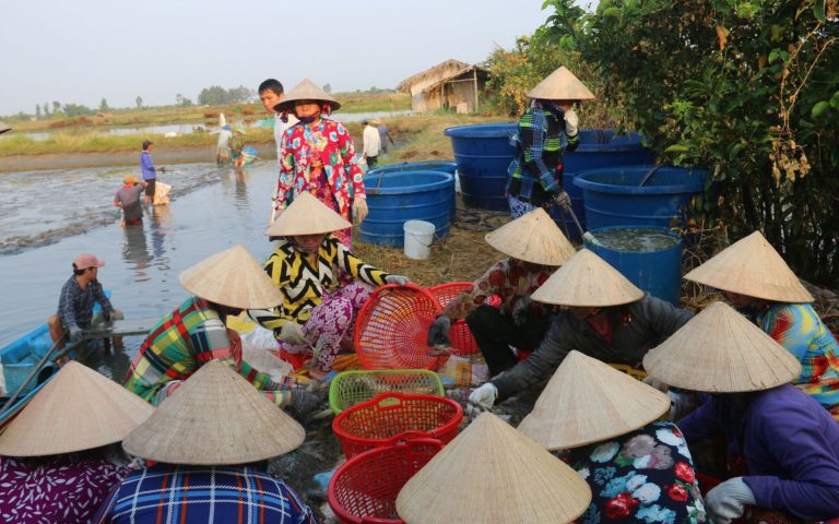 Conical Hat - National Headgear and Symbol of Vietnam