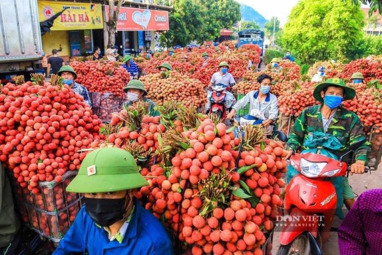 Vietnamese Lychee season