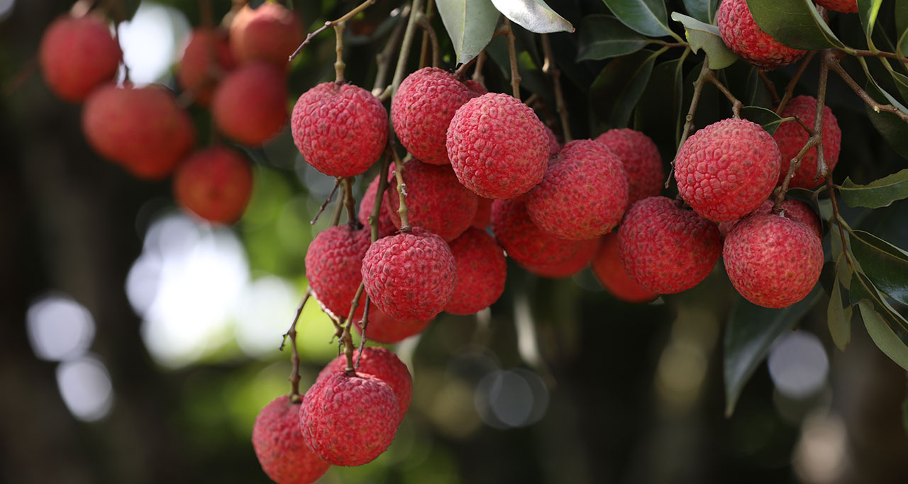 Best Vietnam Tours & Holidays 2024 - Asia Travel